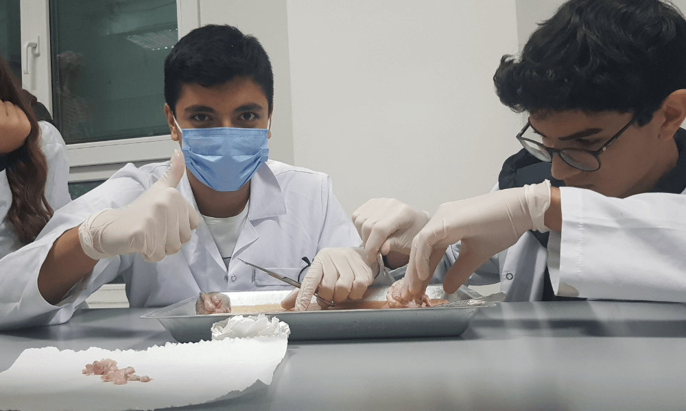 PRIVATE BILFEN ÇAYYOLU HIGH SCHOOLS - EYE DISSECTION EXPERIMENT